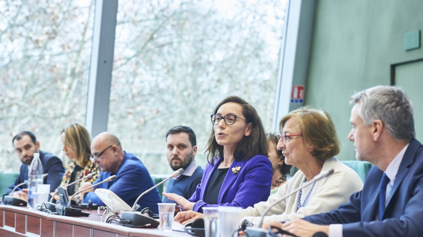 The achievements of a Joint EU-CoE Media Project, discussed in ...