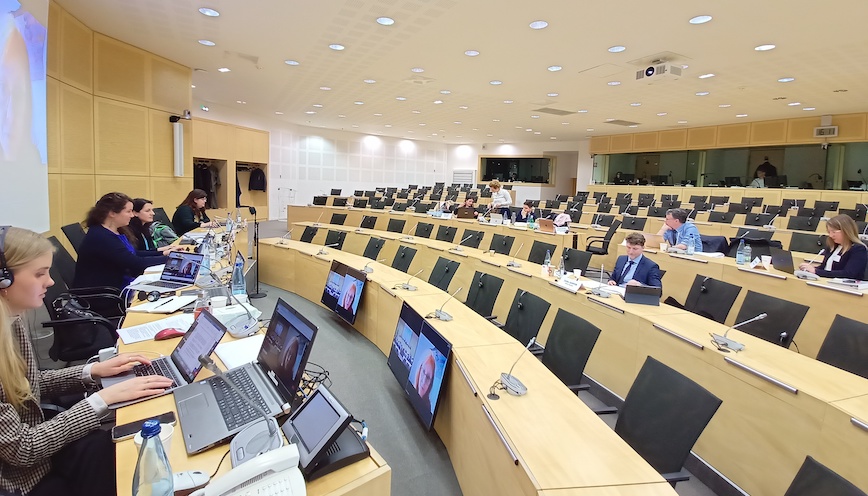 Committee of Experts on Strategic Lawsuits against Public Participation ...