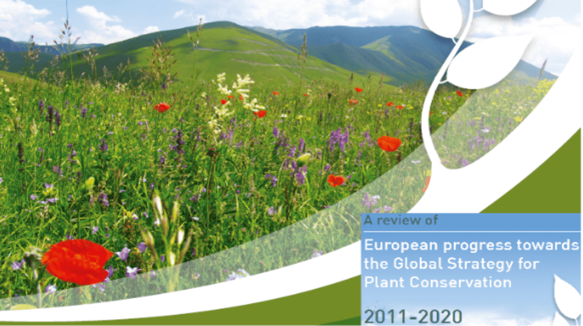 Launch of the review on European plant strategy, 2011-2020 - Convention ...