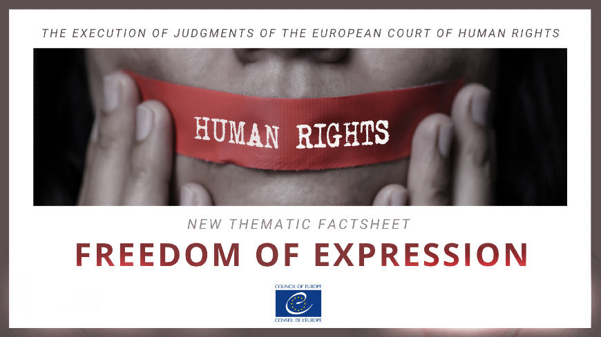 New thematic factsheet - execution of ECHR judgments concerning freedom ...
