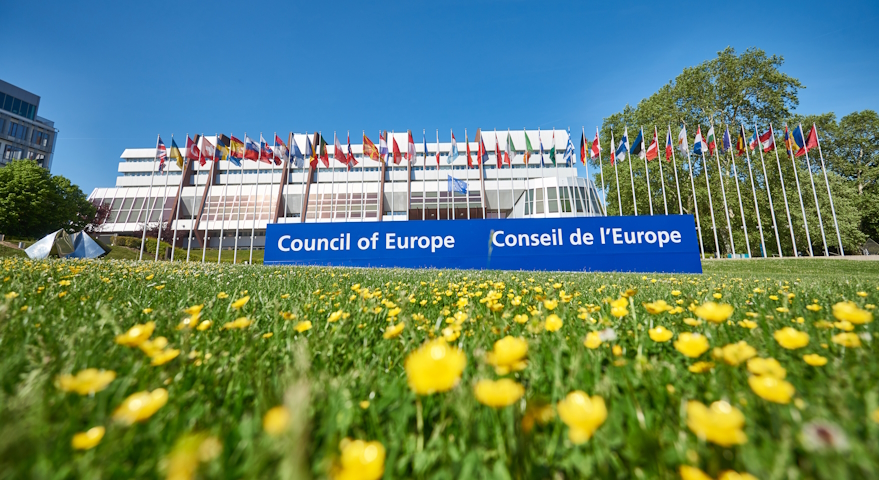 7th Plenary Session of the Council of Europe Steering Committee on ...