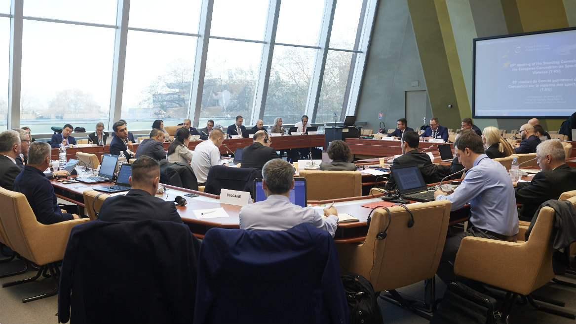 The Standing Committee of the Convention on Spectator Violence meets in ...