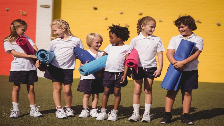 Physical education and school sports - Webinar - Sport