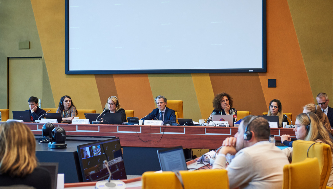 10th meeting of the Committee of Experts on Roma and Traveller Issues ...