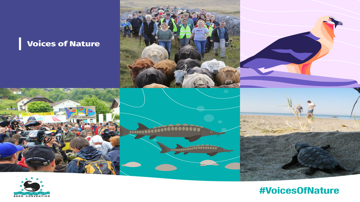 Bern Convention launches Voices of Nature communication initiative ...